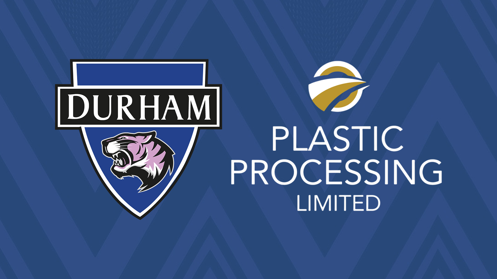 Durham Women & Plastic Processing Limited extend partnership – Durham Women FC